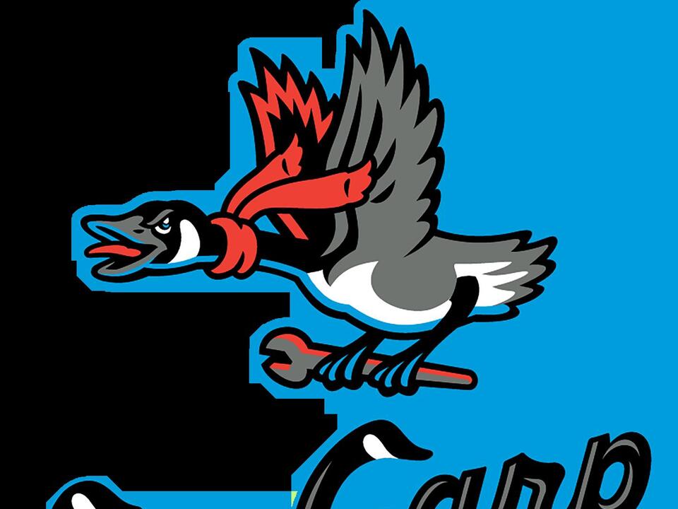 Beloit Sky Carp resume season after all-star break with 7-3 victory ...