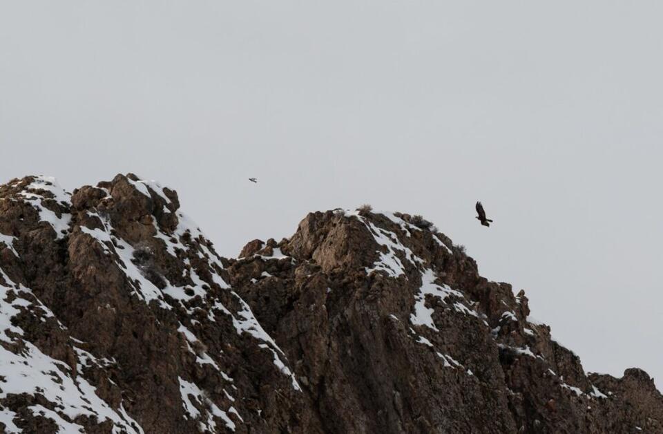 Thacker Pass lithium mine clears most legal challenges, minus a judge ...