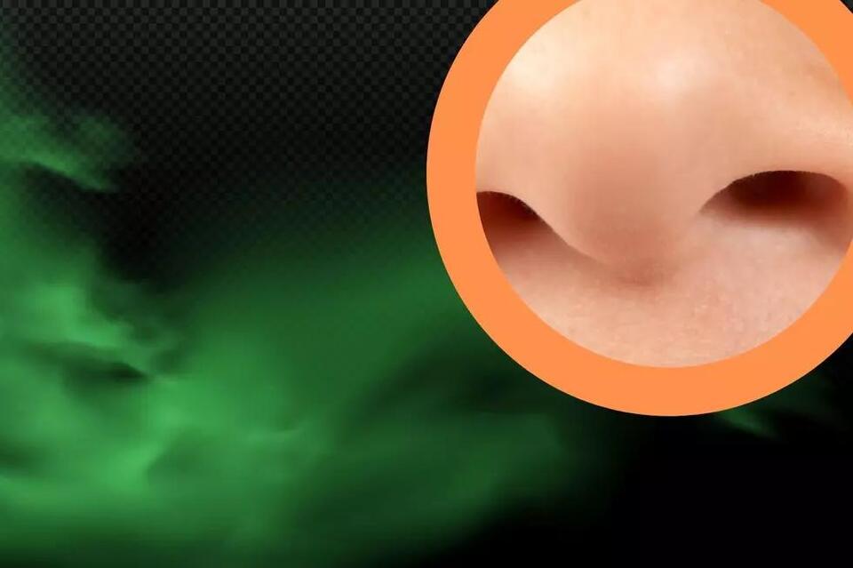 Strong Odor of These Three Foods in Your Home Means You’re in Danger ...