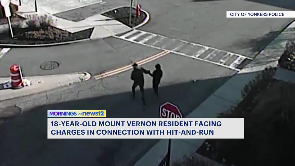 New video released of father and son hit by car at Cross County Center ...