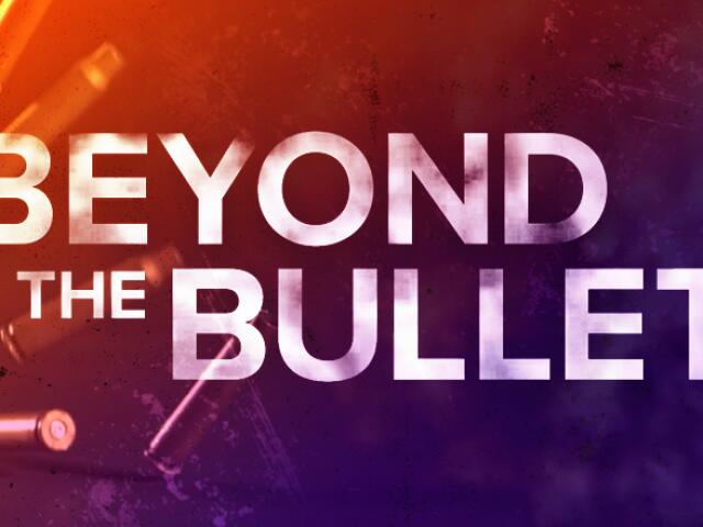 Beyond The Bullet: TMJ4 special report sheds light on Milwaukee's gun ...