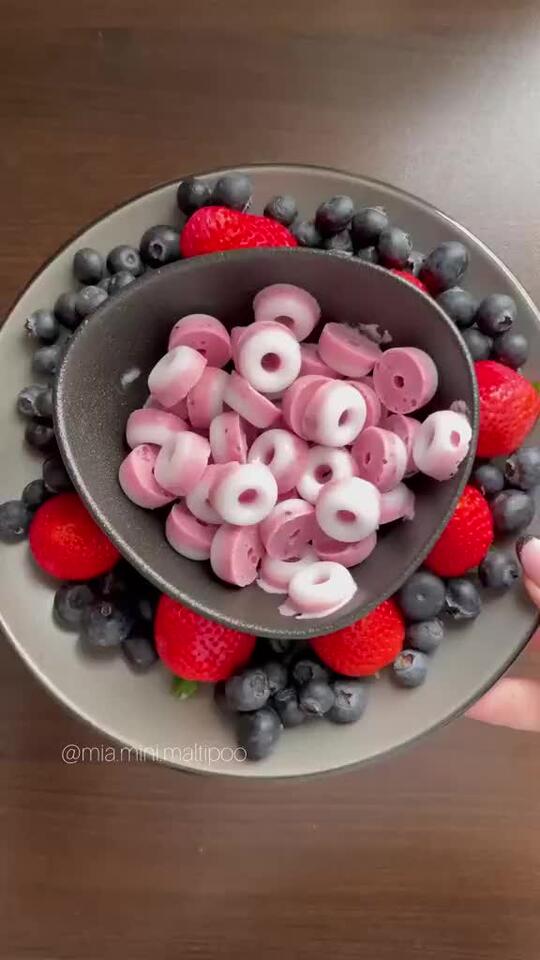 „Fruity Loops“ Dog Treat 🐶 . As Mia refuses to eat fresh fruits, I ...