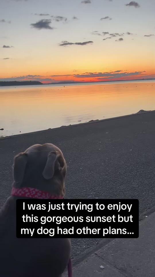 What on earth are these noises RoadTo18Million Pubity jessica cave via ...