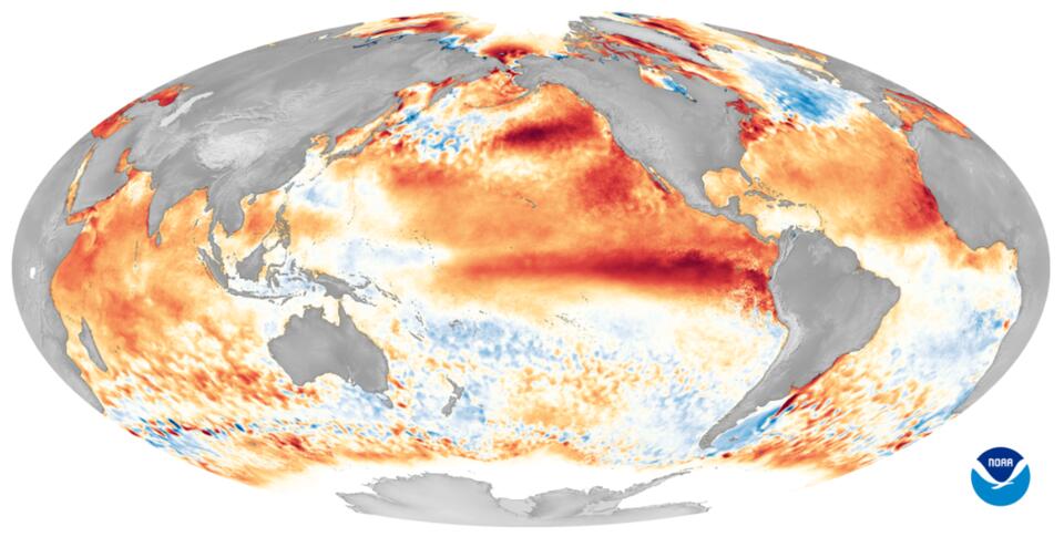 El Niño Has Officially Arrived and Climate Scientists Are Warning This ...