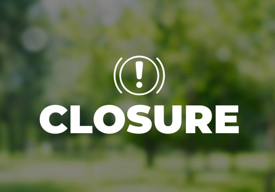 Section of Plum Creek Greenway Trail Closed Due to Fallen Tree - NewsBreak