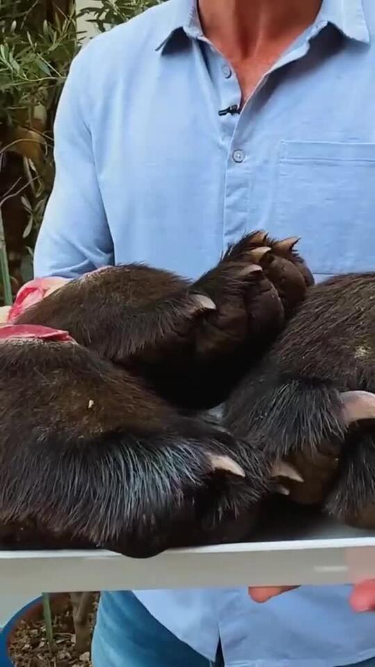 Eating Bear Paw in Japan!! Tokyo’s Extreme Meats!!Part… - NewsBreak