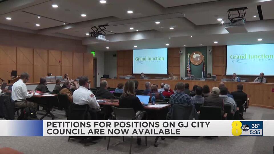 Want to get involved in local government? City council candidate ...