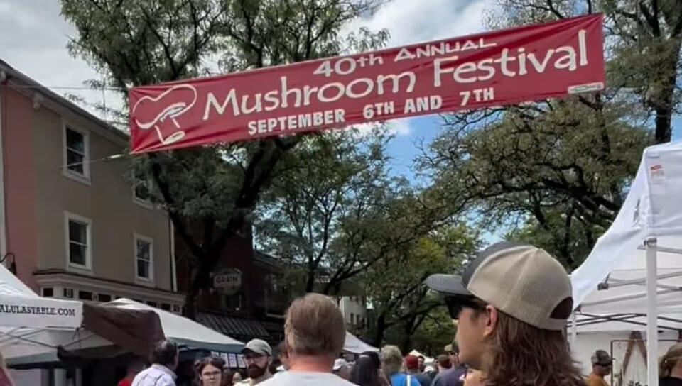 Community Joy Shines at the 40th Annual Kennett Square Mushroom ...