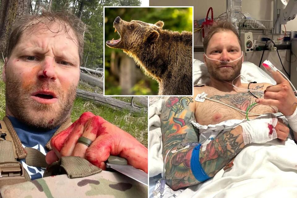 Veteran survives horrifying mama grizzly bear attack while hiking in ...