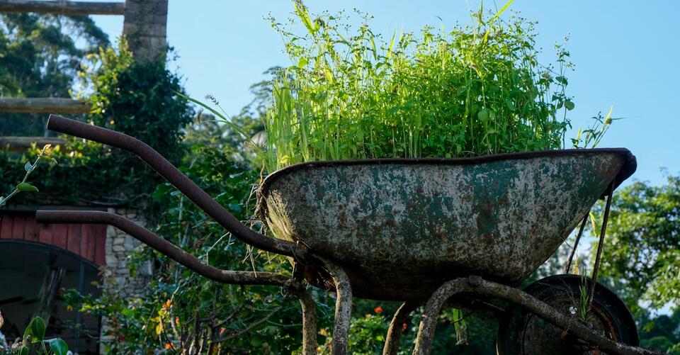 7 Old Farm Tools From Boomer Childhoods That Decorators Love - NewsBreak