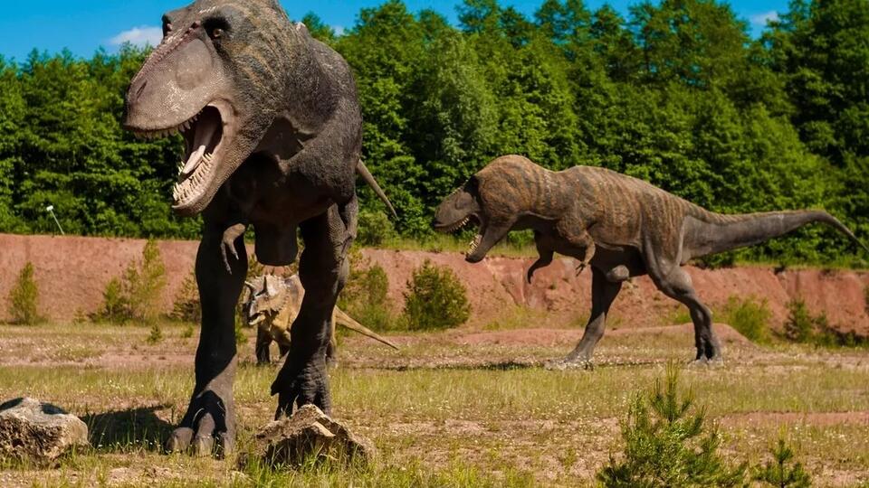 Unearthing the Giants: North America’s Most Imposing Prehistoric ...