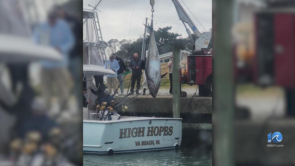 Photos: Fisherman catches 832-pound bluefin tuna in Virginia - NewsBreak