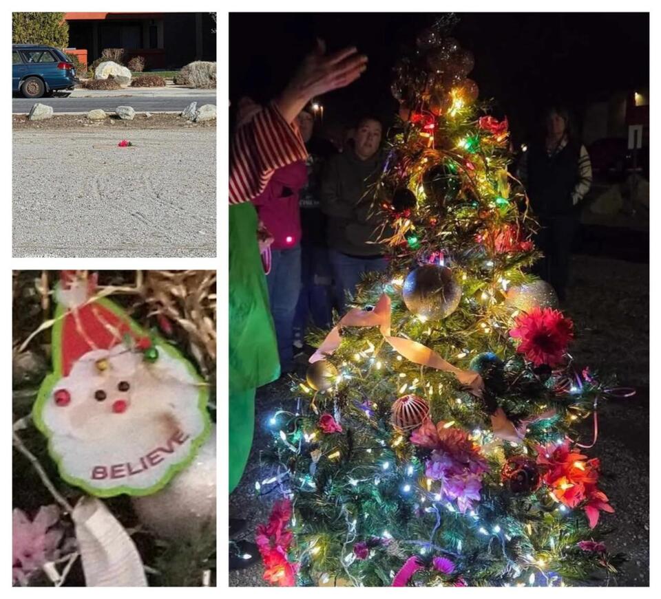 An SOS Plea for the Missing Christmas Tree of Angels to Honor Izabella ...