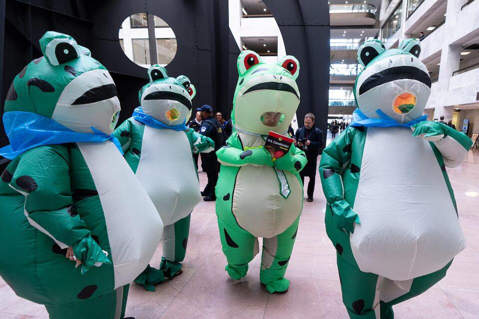 Portland Frog Brigade hits D.C. ahead of State of the Union - NewsBreak
