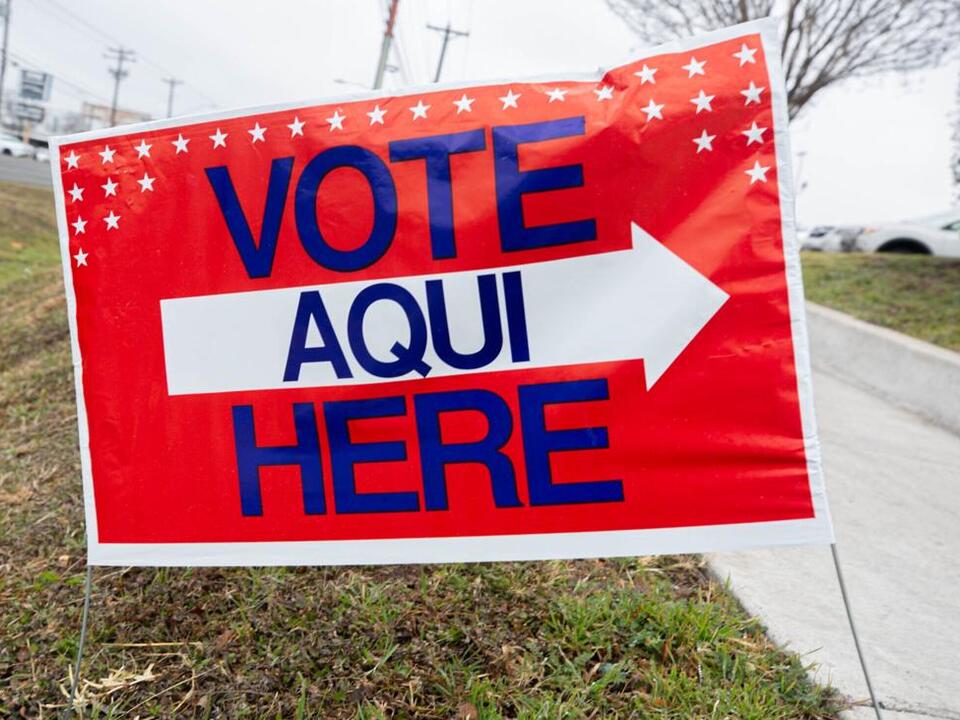 Runoff spotlight: Voters in two North Texas districts go to the polls ...