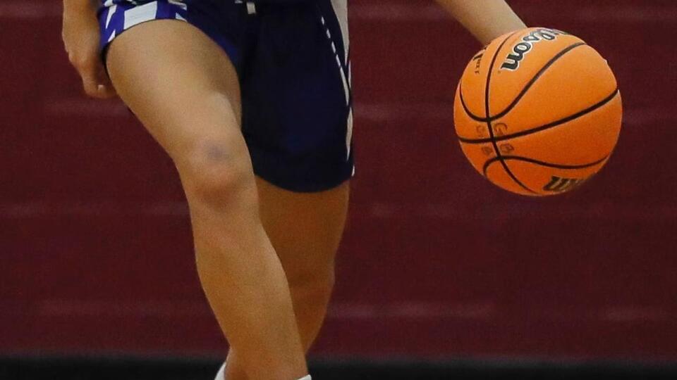 Ellis hits season high as Hammonton takes 10th straight -- Girls ...