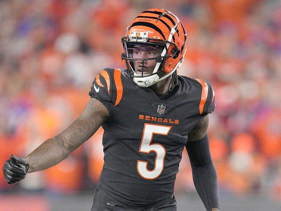 Bengals GM on Tee Higgins' upcoming free agency: 'Everyone on our team ...