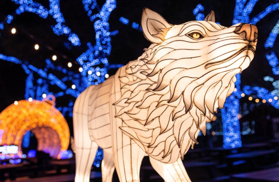 Keep The Cheer Going: Post-Christmas Holiday Events In North Texas ...