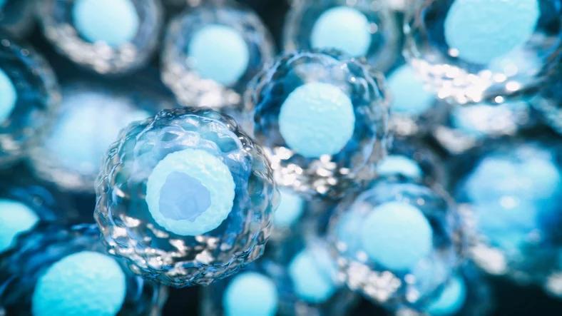 Preclinical stem cell biotech PrimeGen takes SPAC route to Nasdaq ...