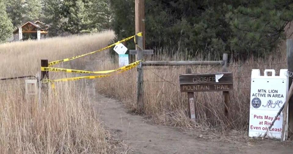 Suspected mountain lion attack leaves hiker dead in Colorado - NewsBreak