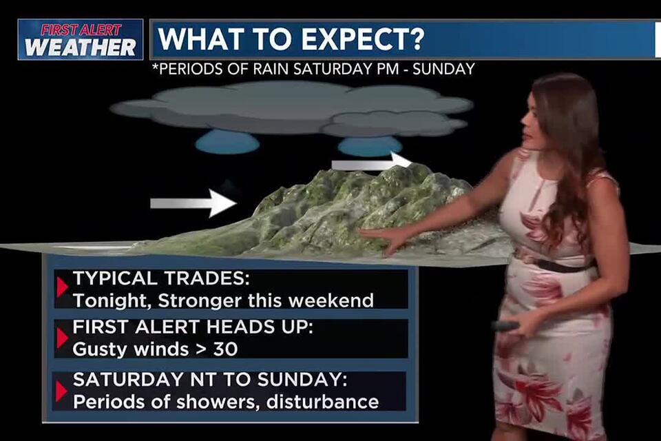 Hawaii News Now Meteorologist Jen Robbins May 31 - NewsBreak