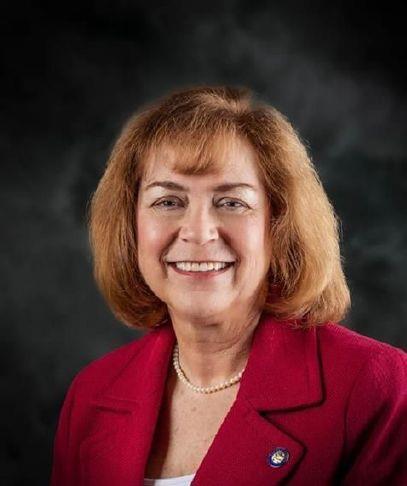 State Rep. Gayle Manning announces plans to run for Ohio Senate - NewsBreak