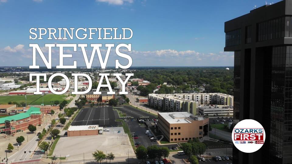 Springfield police: Man repeatedly kicked elderly woman in head during ...