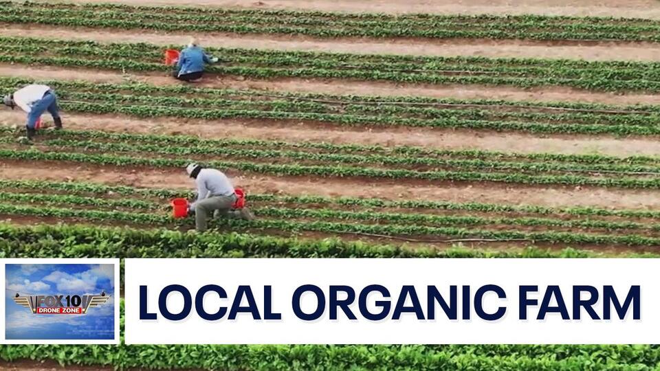 Agritopia Farm | Drone Zone - NewsBreak