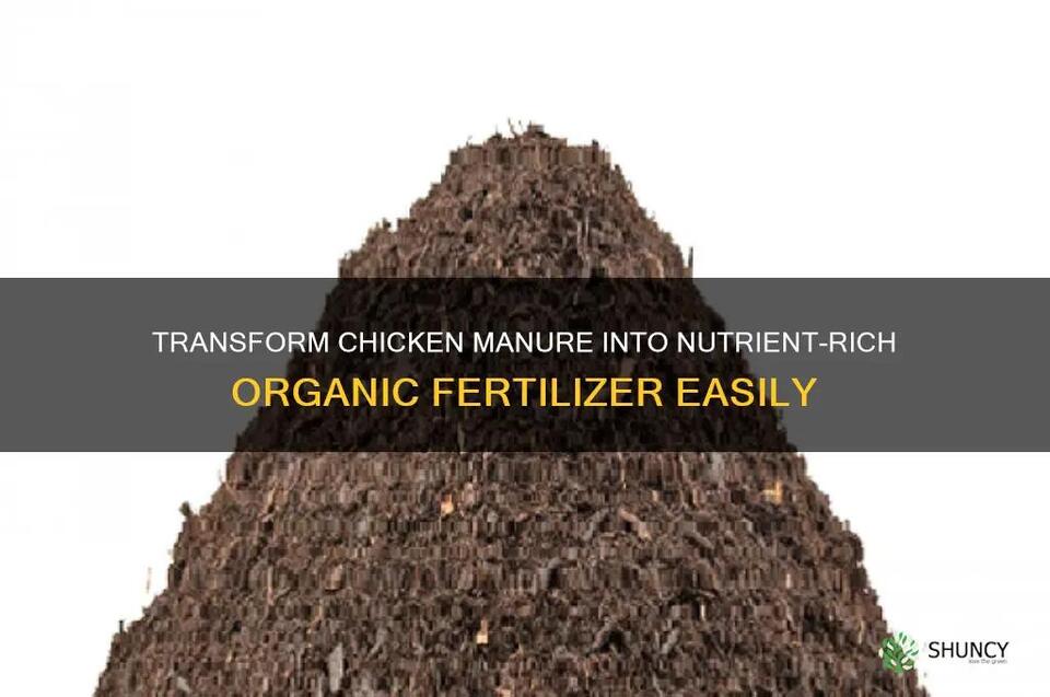 Transform Chicken Manure Into Nutrient-Rich Organic Fertilizer Easily ...
