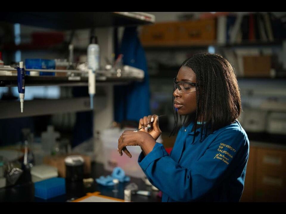 UCLA student develops new sunscreen that leaves no white cast on dark ...
