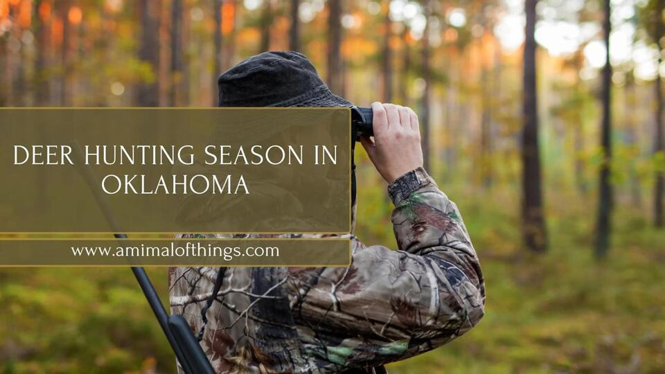 Oklahoma Deer Hunting Season: Dates, Zones, and Rules You Need to Know ...