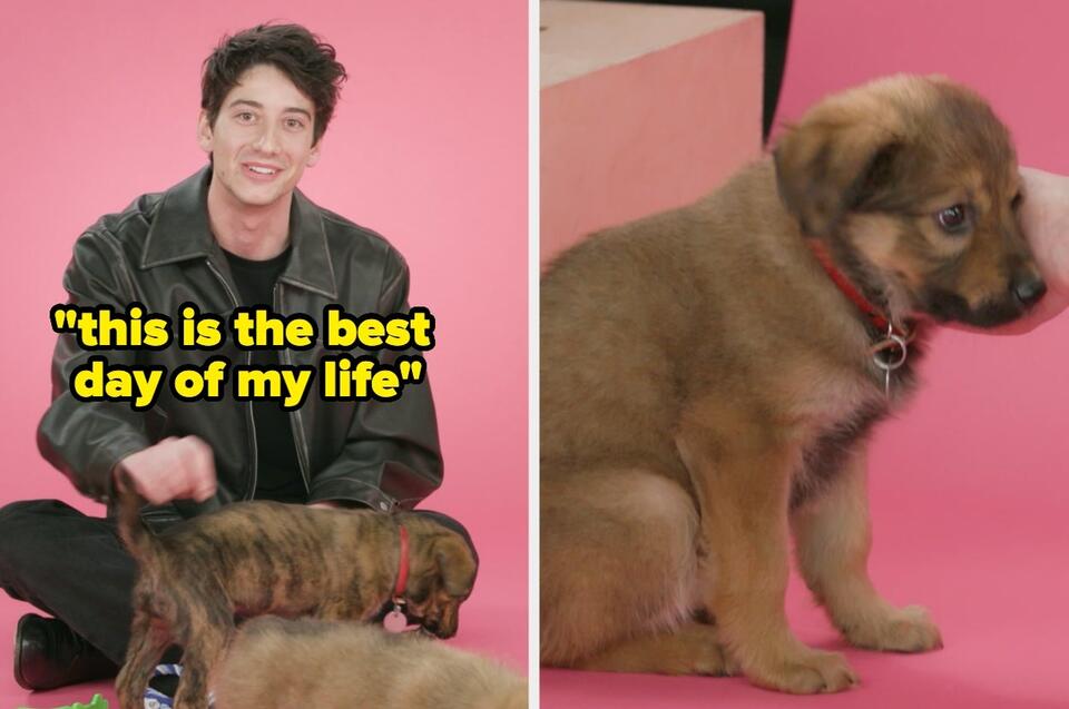 Milo Manheim's Puppy Interview Was Just Crashed By His Costar Liz ...