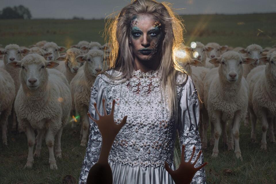 Tyler's Sheep Lady: A Tale Of Mystery And Folklore - NewsBreak