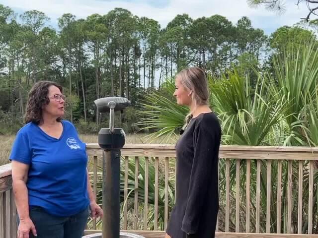 Panacea Waterfronts is helping neighbors here invest in their future ...