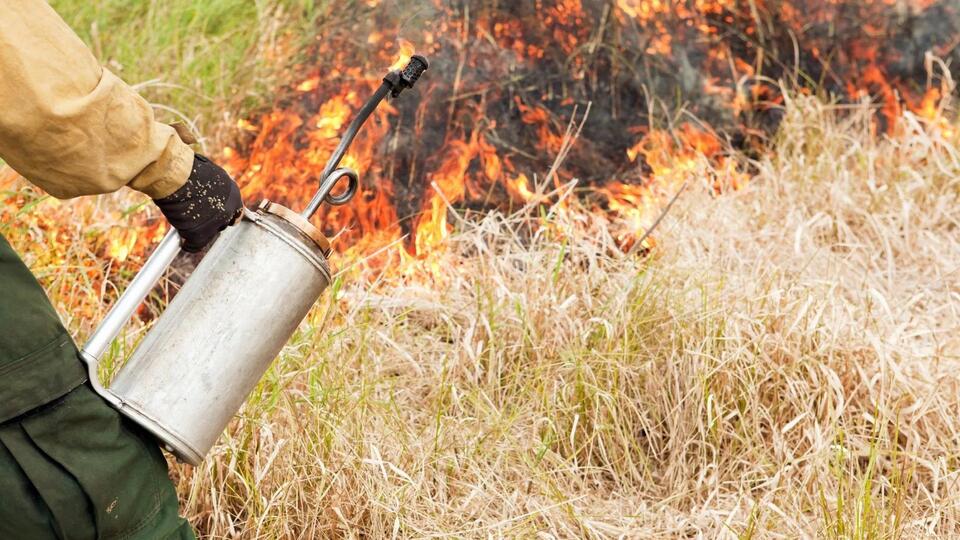 Prescribed burn planned at Flying D Ranch southwest of Bozeman - NewsBreak