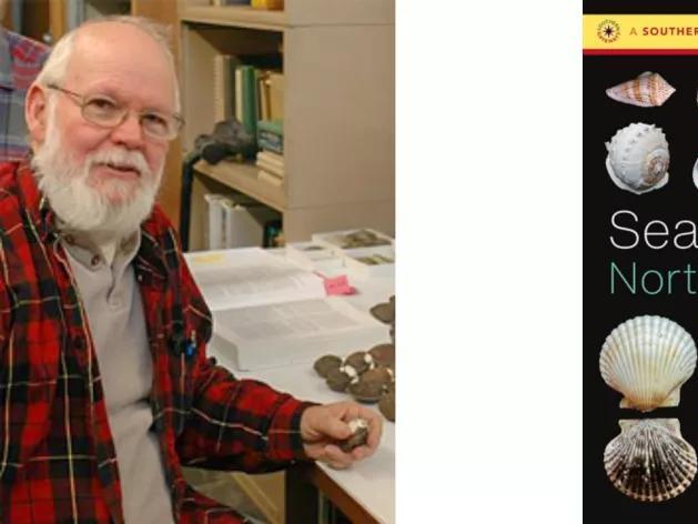 Guidebook for identifying North Carolina seashells updated
