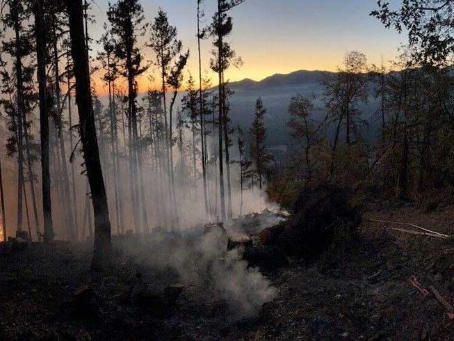 Upper Applegate Fire caused by mowing dry grass, investigators say