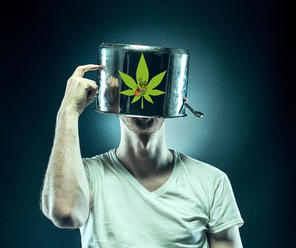 Illinois’ 14 Most Creative Nicknames For Marijuana - NewsBreak