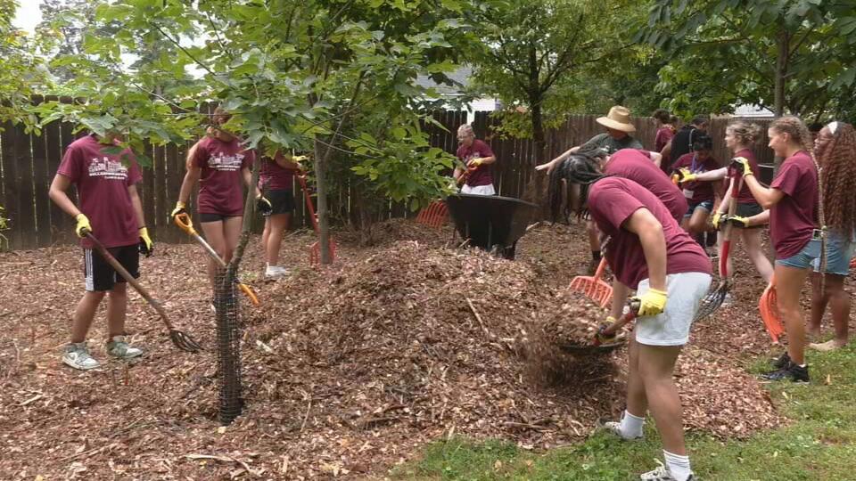 More than 600 freshmen from Bellarmine University took part in service ...