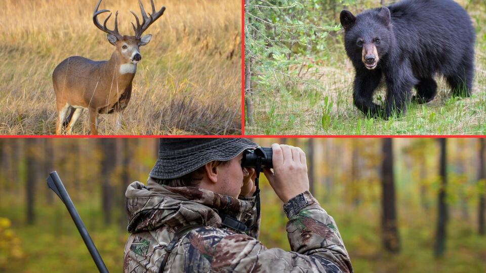 What To Know About New York's 2025 Hunting Season - NewsBreak