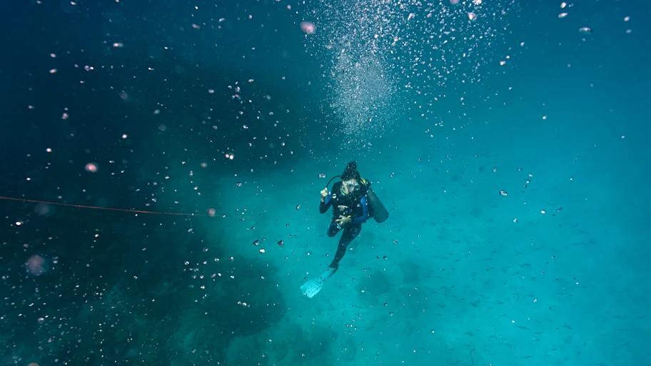 Traveling for scuba diving? Here’s what you need to know. - NewsBreak