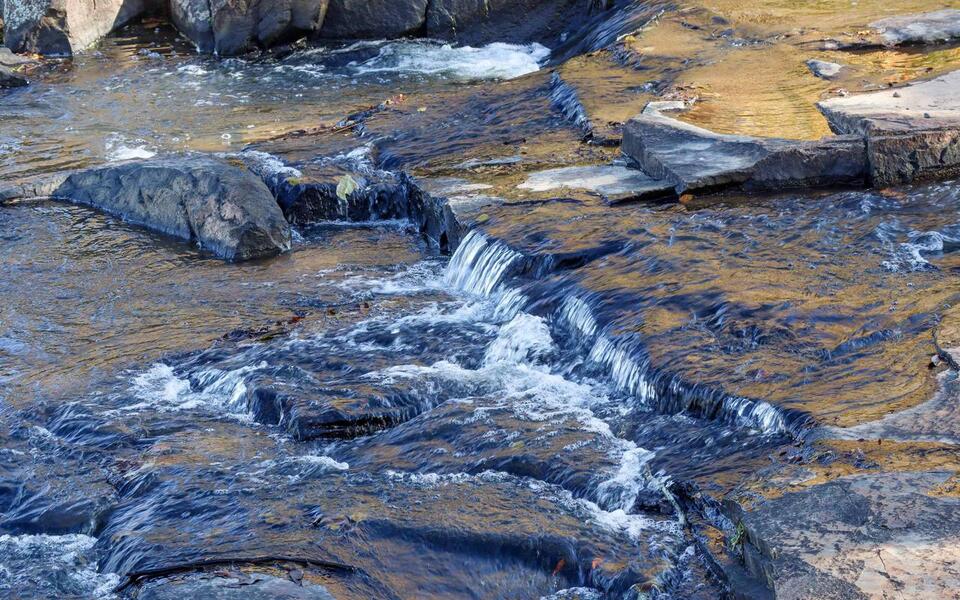 10 Natural Springs in Georgia And Where To Find Them - NewsBreak