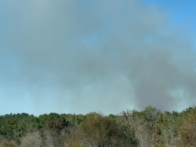 Gadsden County issues emergency countywide burn ban - NewsBreak