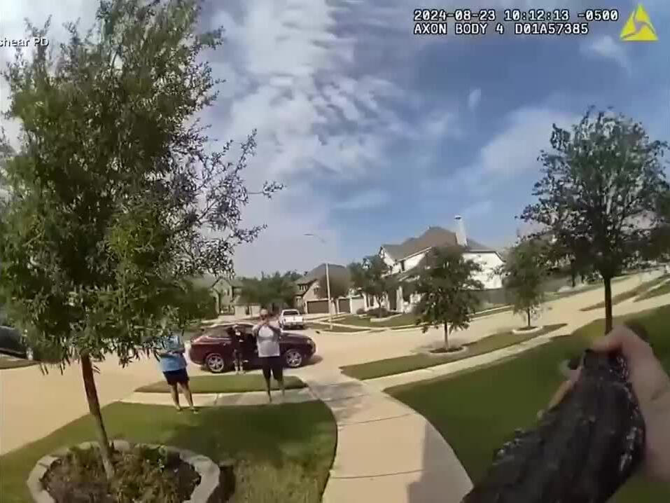Texas officer caught on camera catching alligator with bare hands