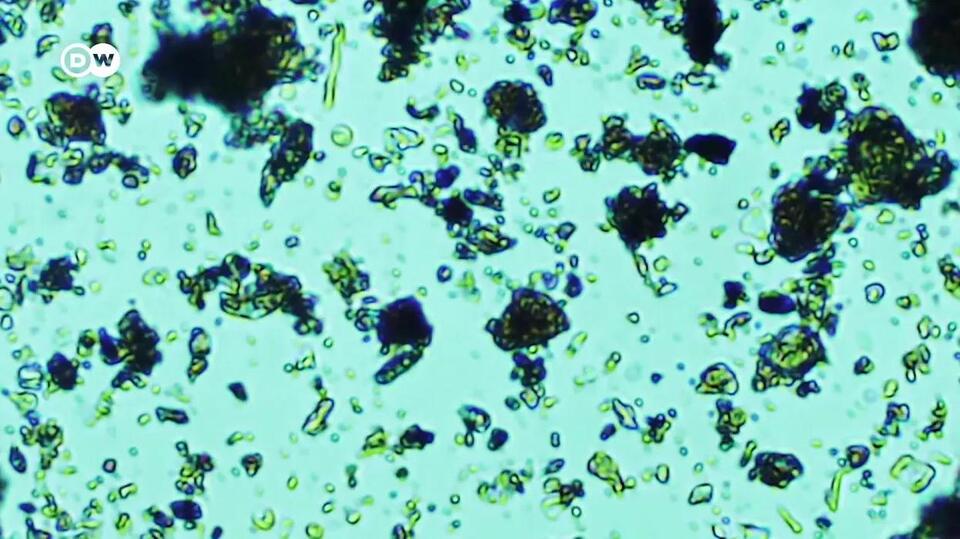 Scientists discover microwaves are home to swarms of radiation ...