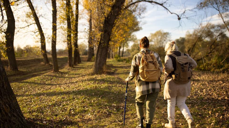 Estate planning helps 'forestall bad outcomes,' author says — you need ...