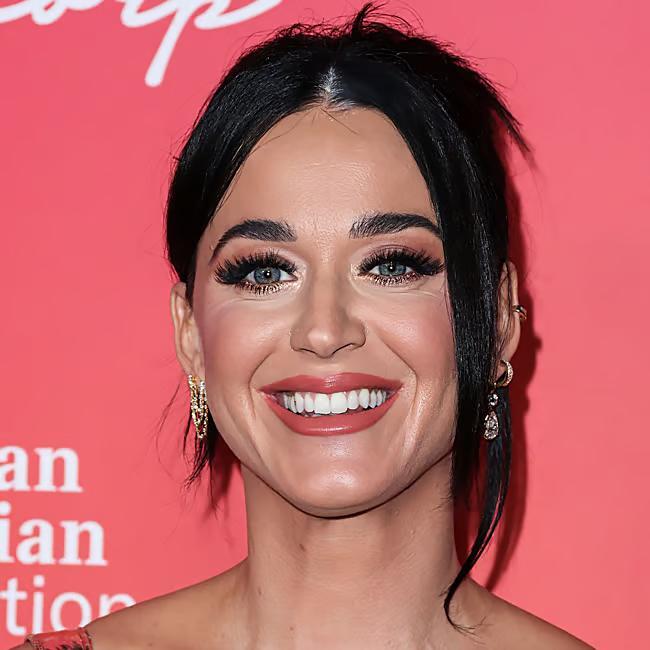 Social Media Says Katy Perry Looks Like 'A Diplomat's Wife' As She ...