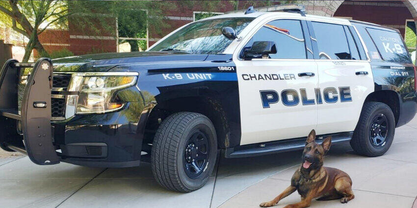 Chandler Police announce Cinco de Mayo weekend stats - NewsBreak