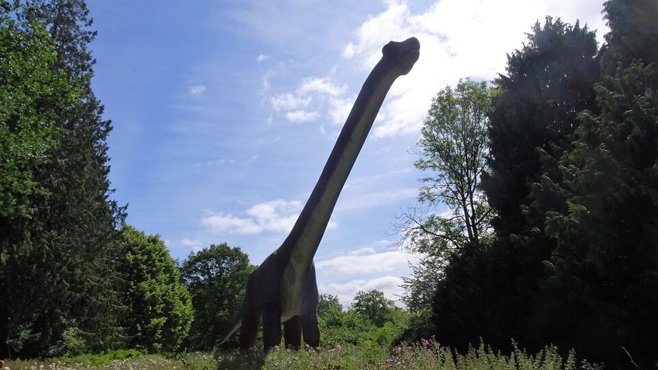 The Truth About Why Some Dinosaurs Grew So Gigantic - NewsBreak