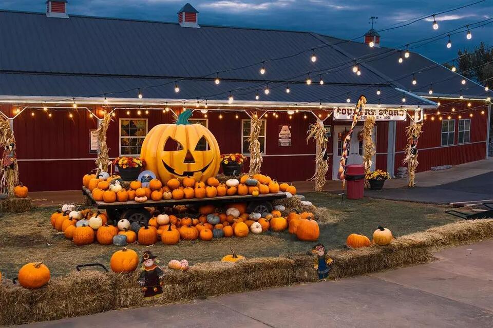 Oklahoma Pumpkin Patches Hit Different - NewsBreak